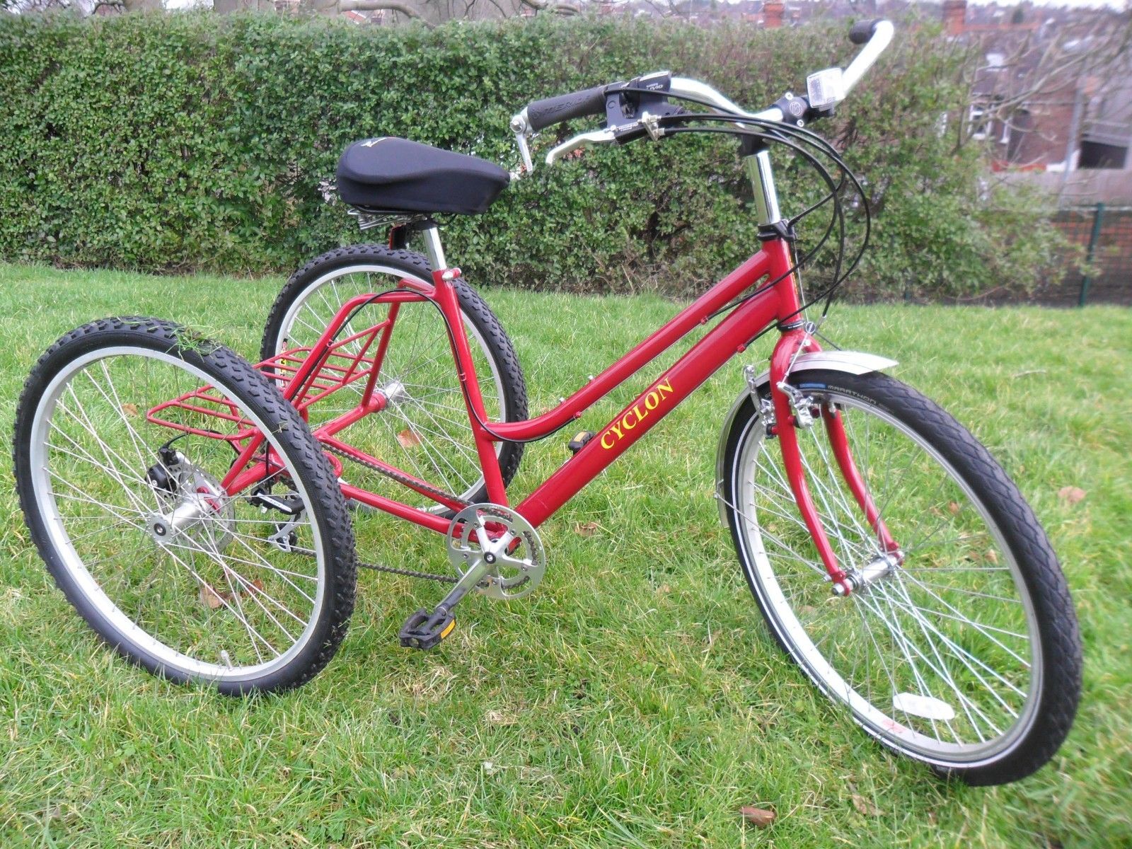 Additional needs trike.